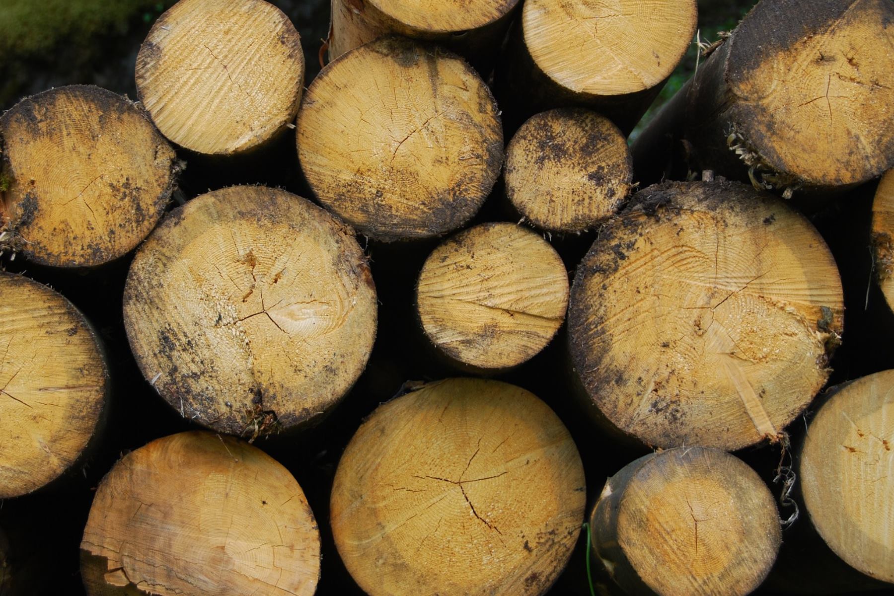 Anfrage | Fernwärme - Methangas oder Biomasse | Die Freiheitlichen